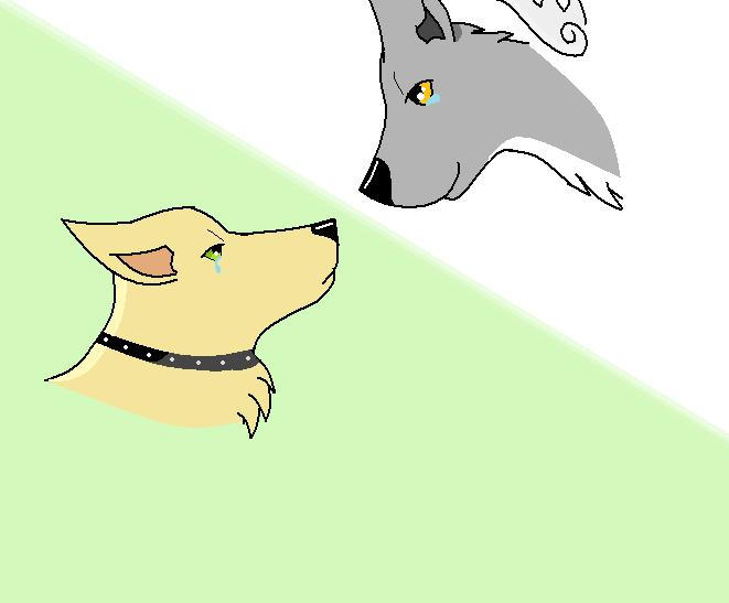 Split Between Two Worlds By Salty96 On Deviantart