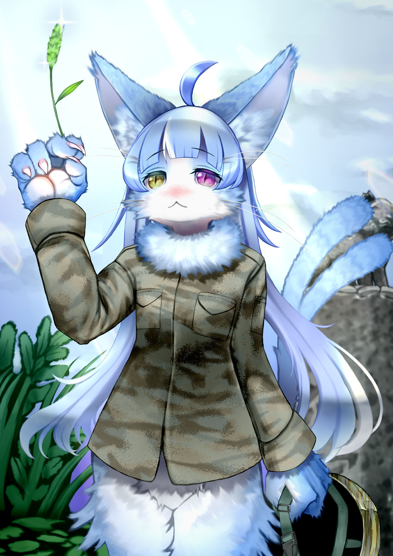Omaneko By Usagiya194 On Deviantart