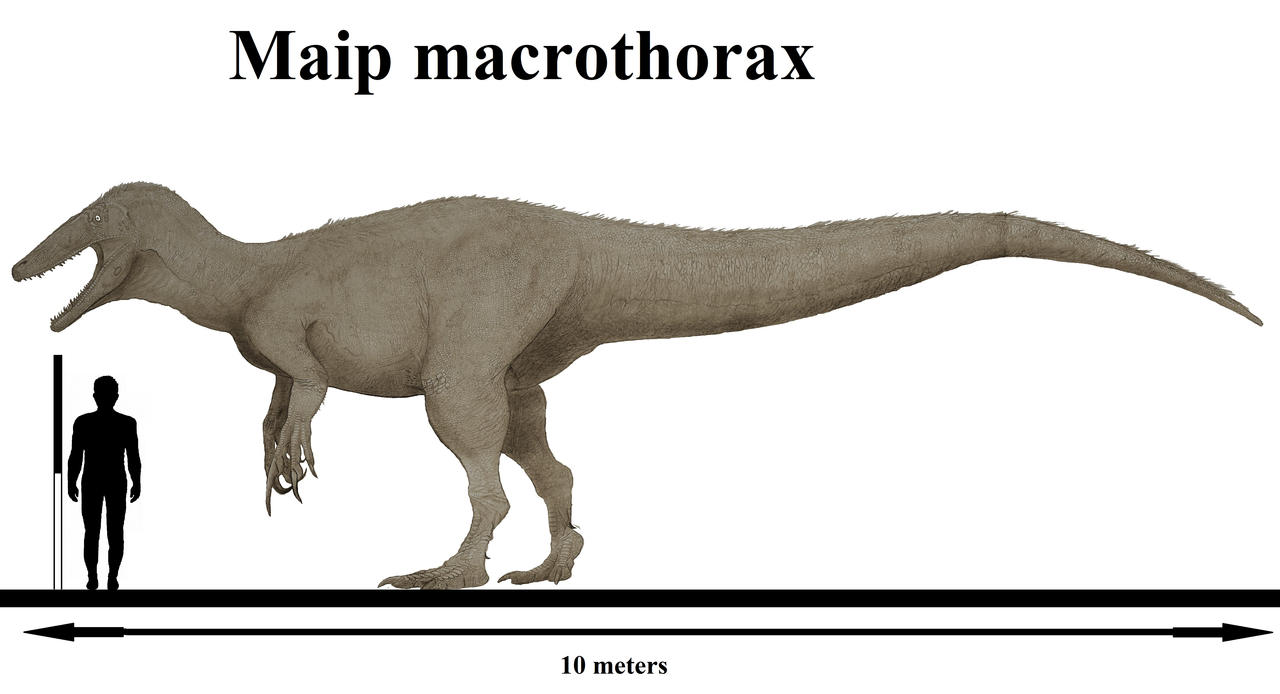 Maip macrothorax- Ark's Endgame Megaraptor - Creature submission ... Maip macrothorax- Ark's Endgame Megaraptor - Creature submission ...