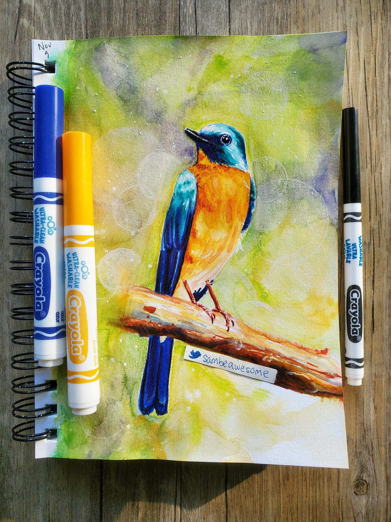 Smol Birb By Sambeawesome On Deviantart
