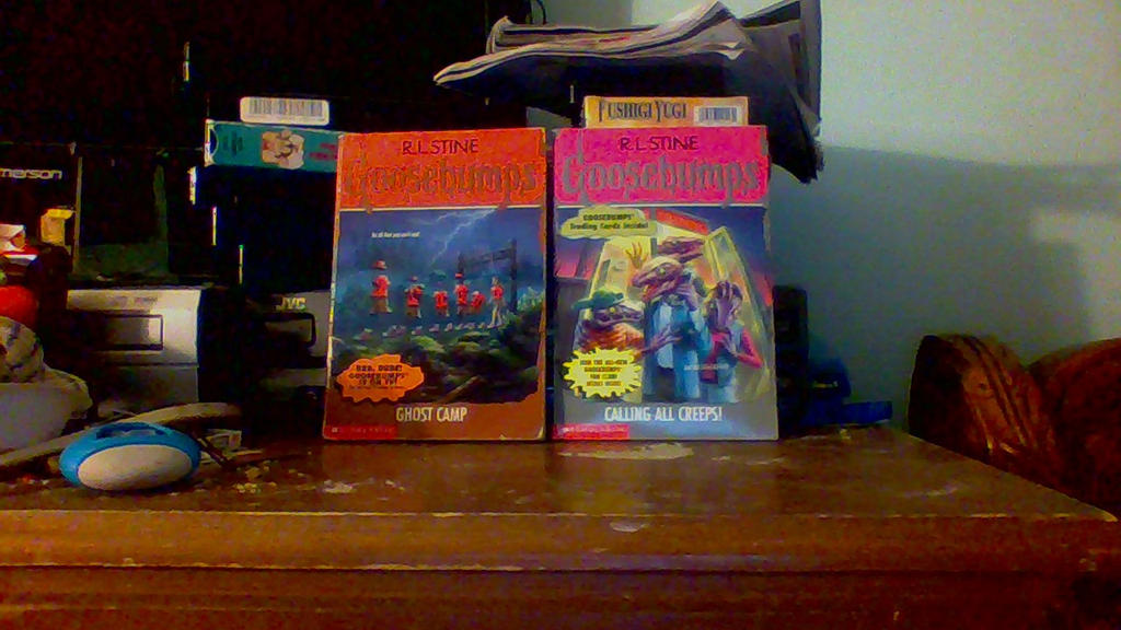 More Goosebumps To My Collection Part 4 By Pikachu Train On Deviantart