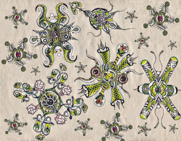 Diatoms by symphoid on DeviantArt