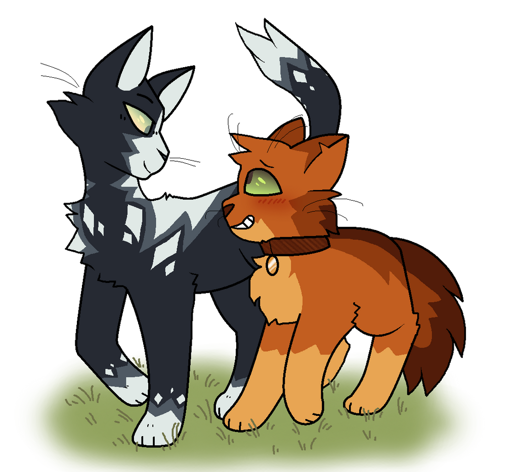 Talltail X Jake By Phirlsich On Deviantart