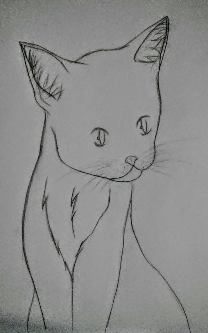 Intrigued Cat by Orcchai on DeviantArt Intrigued Cat by Orcchai on DeviantArt