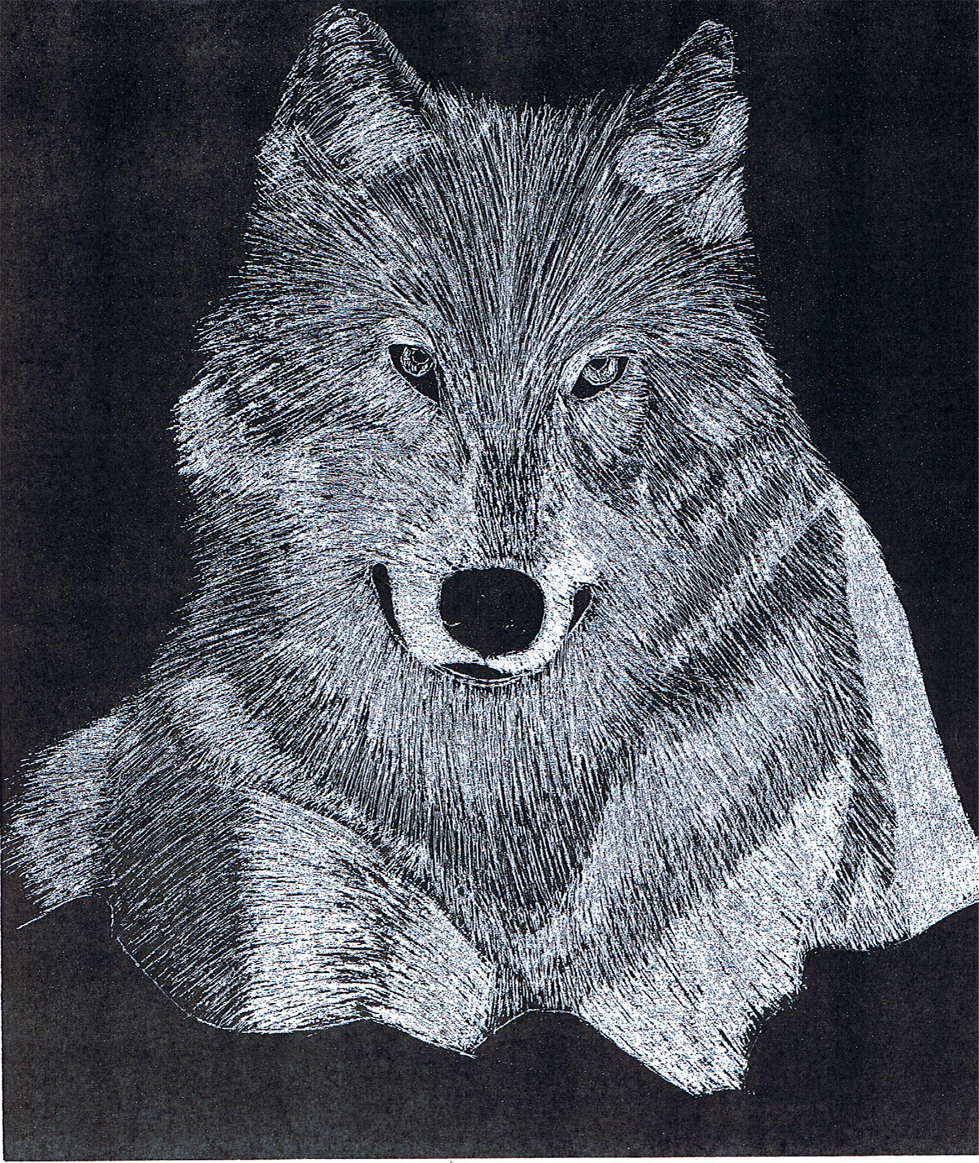 Wolf Scratch by Theoriginalgerm on DeviantArt