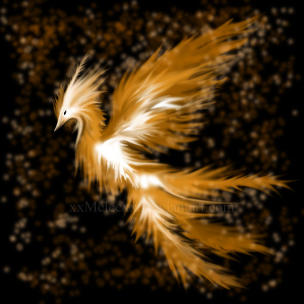 Phoenix Fire... by xxMeleexx on DeviantArt