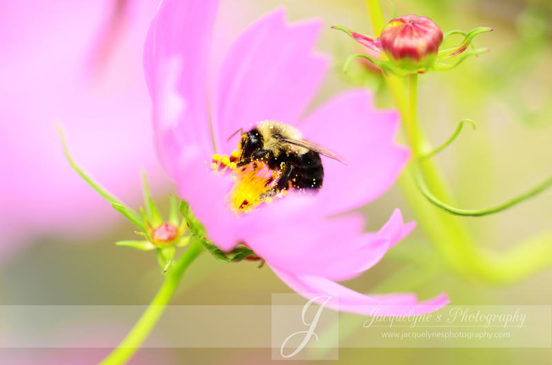 Messy Eater By Jlynephotography On Deviantart