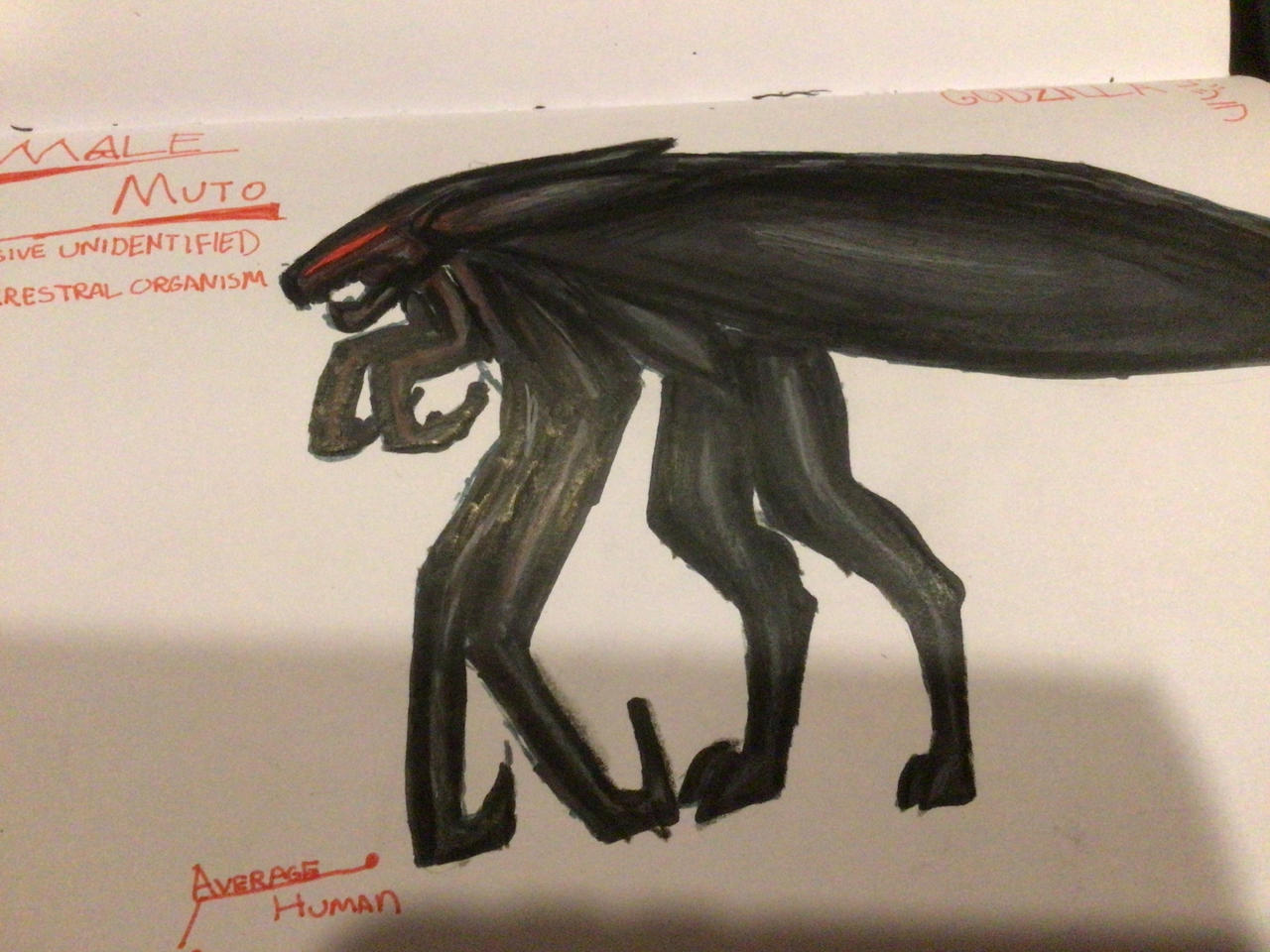 Male Muto By Zara Does Art On Deviantart