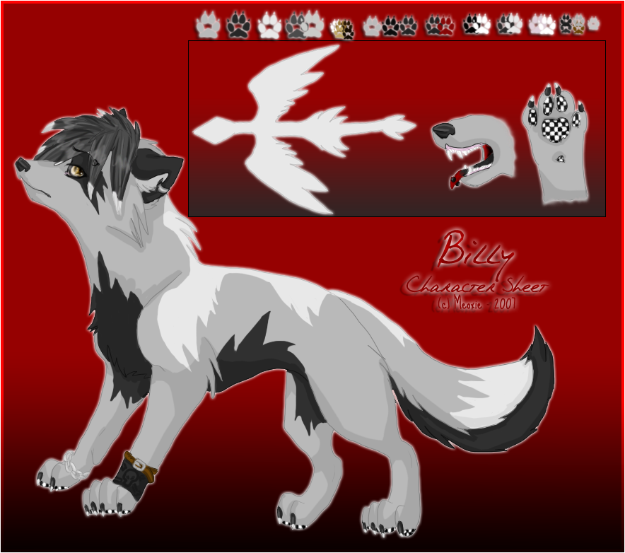 .: Billy Character Sheet :. by Meoxie on DeviantArt