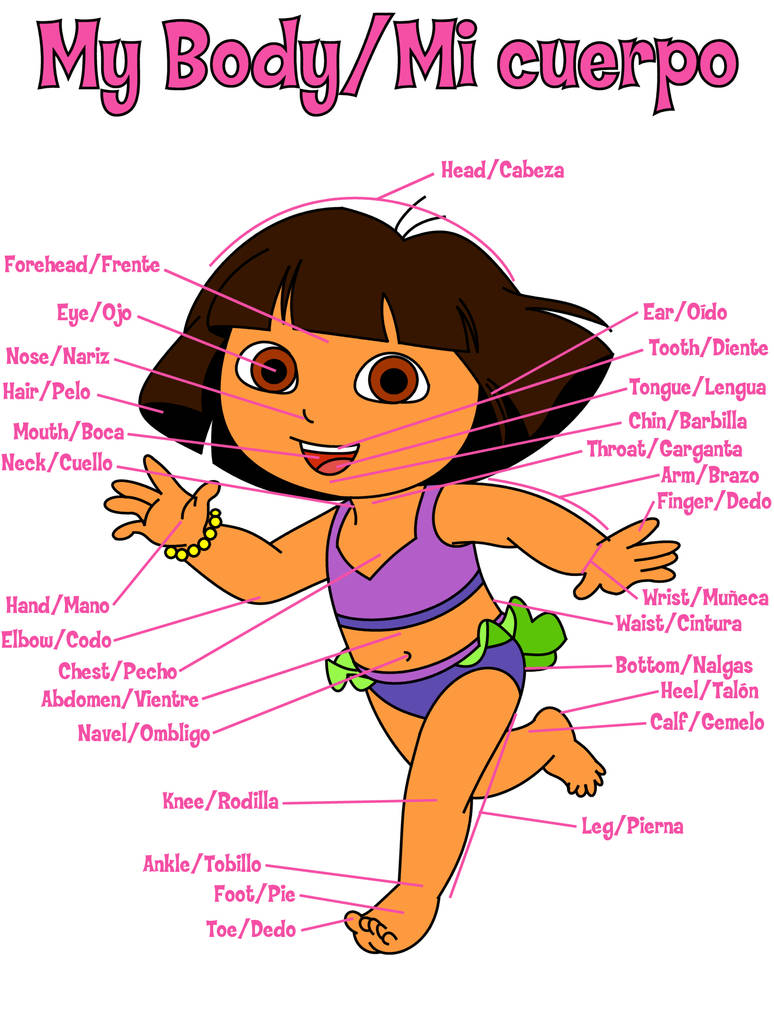 Parts Of The Body Dora The Explorer Interactive Worksheet Dora Porn Sex Picture
