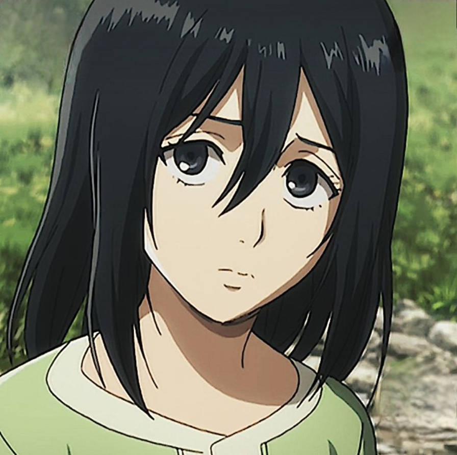 Mikasa By Erenyeagefreedomsimp On Deviantart