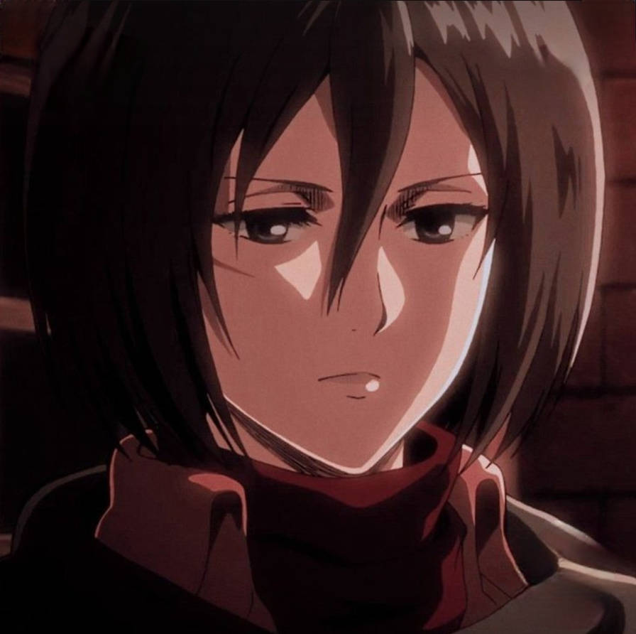 Mikasa By Erenyeagefreedomsimp On Deviantart