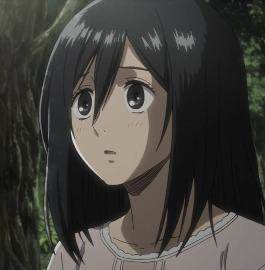 Mikasa By Erenyeagefreedomsimp On Deviantart