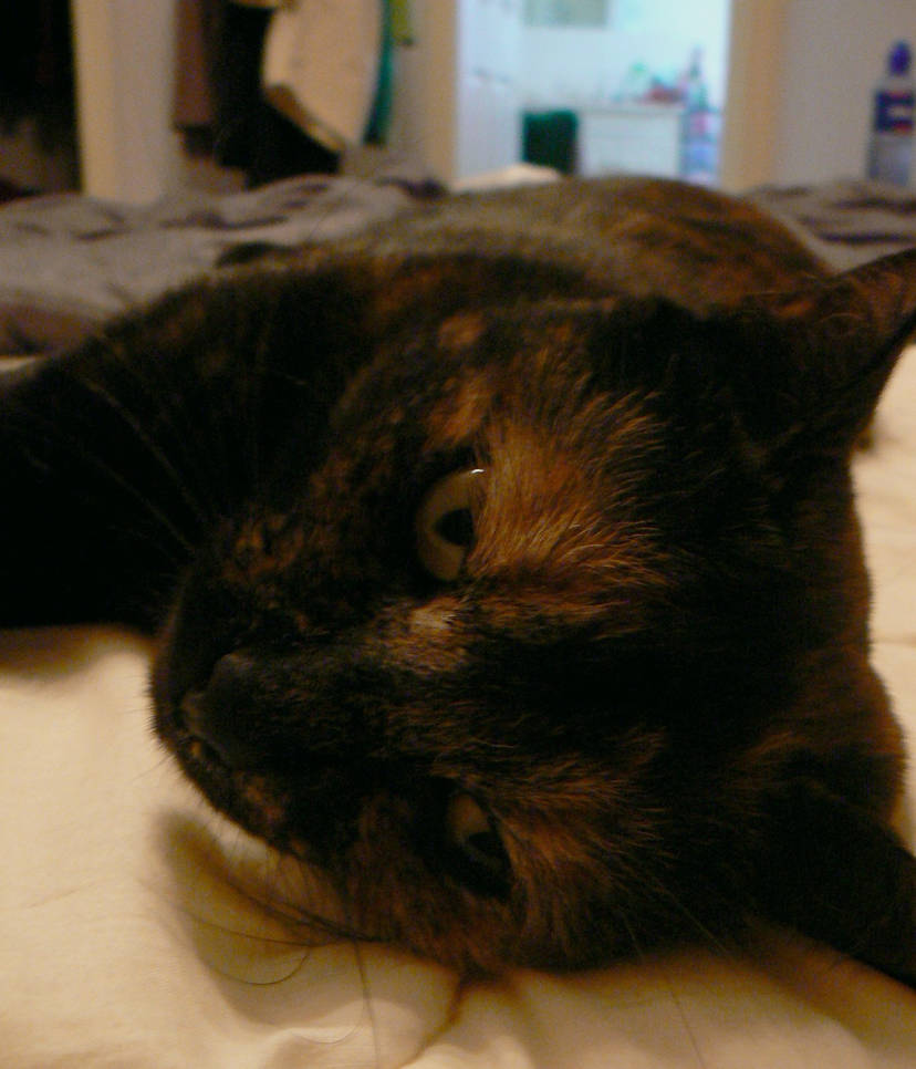 ...Shadowy Eyes... by Green-Addict on DeviantArt