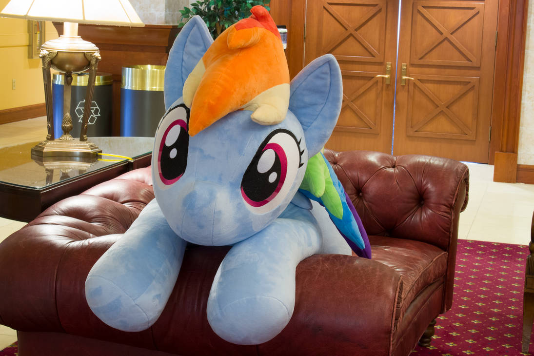 Lifesize Rainbow Dash Front View By Azgchip On Deviantart