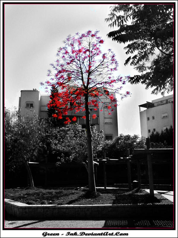Moshik's tree by Green-Ink on DeviantArt