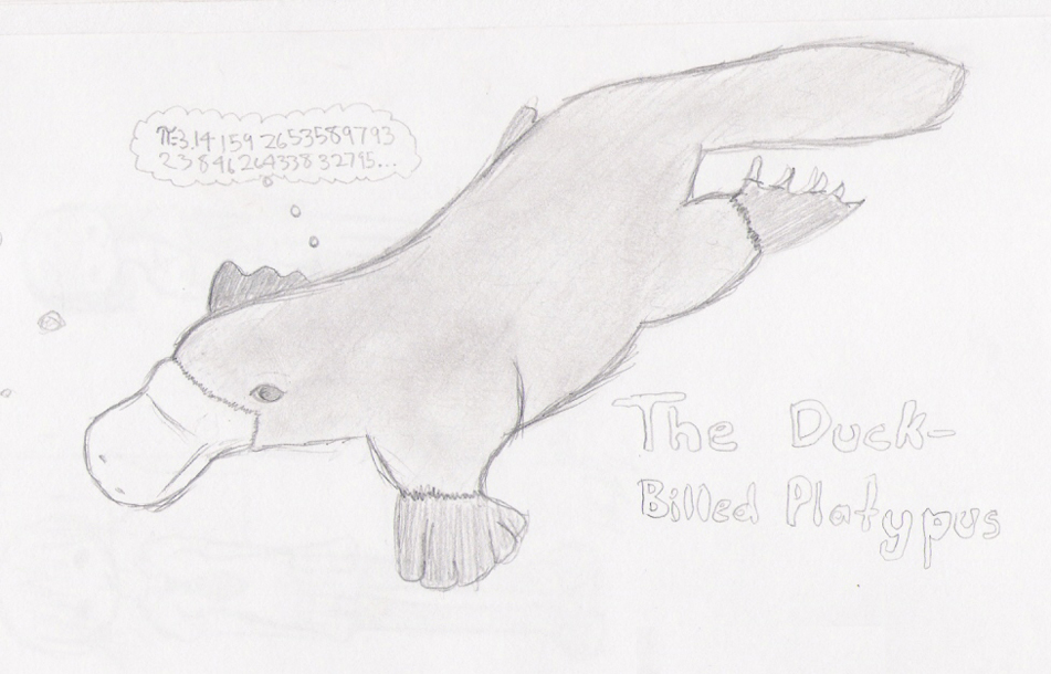 Duck-Billed Platypus by banana-pocky on DeviantArt