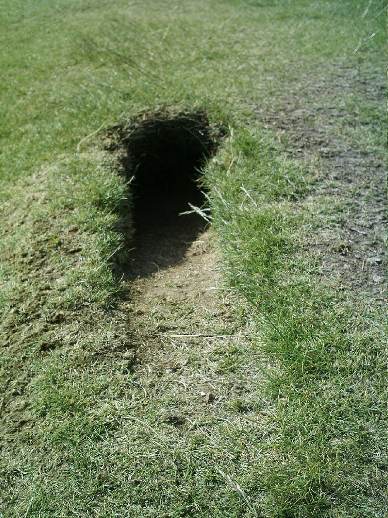 A Haggis Hole by ChechenD on DeviantArt