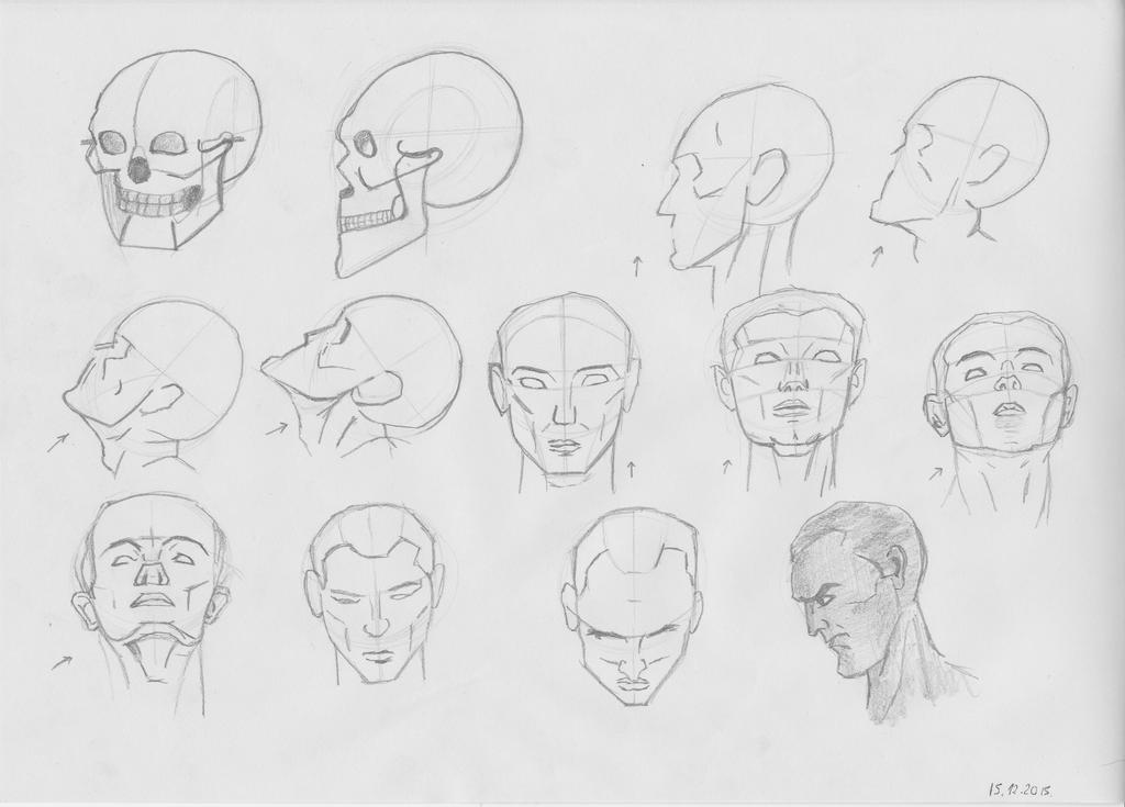 Loomis Head study by Andrix9743 on DeviantArt Loomis Head study by Andrix9743 on DeviantArt