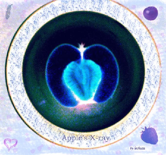 Ms. Apple's X-ray by lechuza on DeviantArt