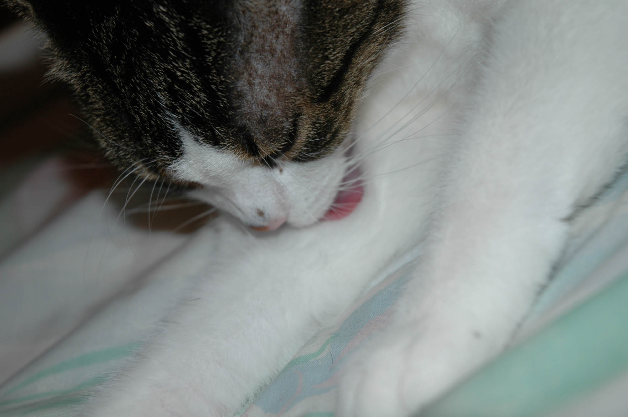 Cleaning. by LandofSubmarines on DeviantArt