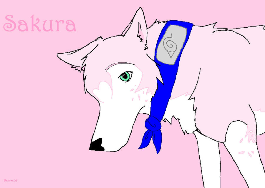 Sakura-Wolf by Yazora on DeviantArt