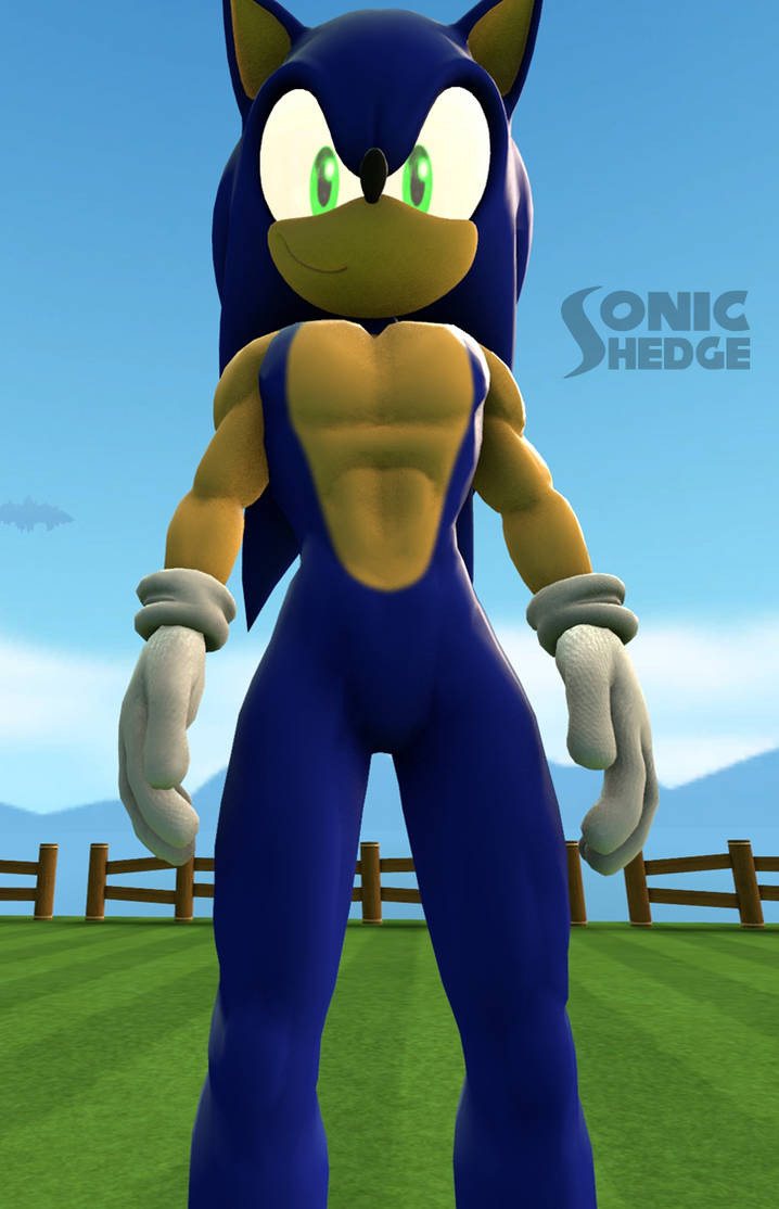 A Muscular Sonic Portrait 2017 Edited By Stonehedgeart On Deviantart