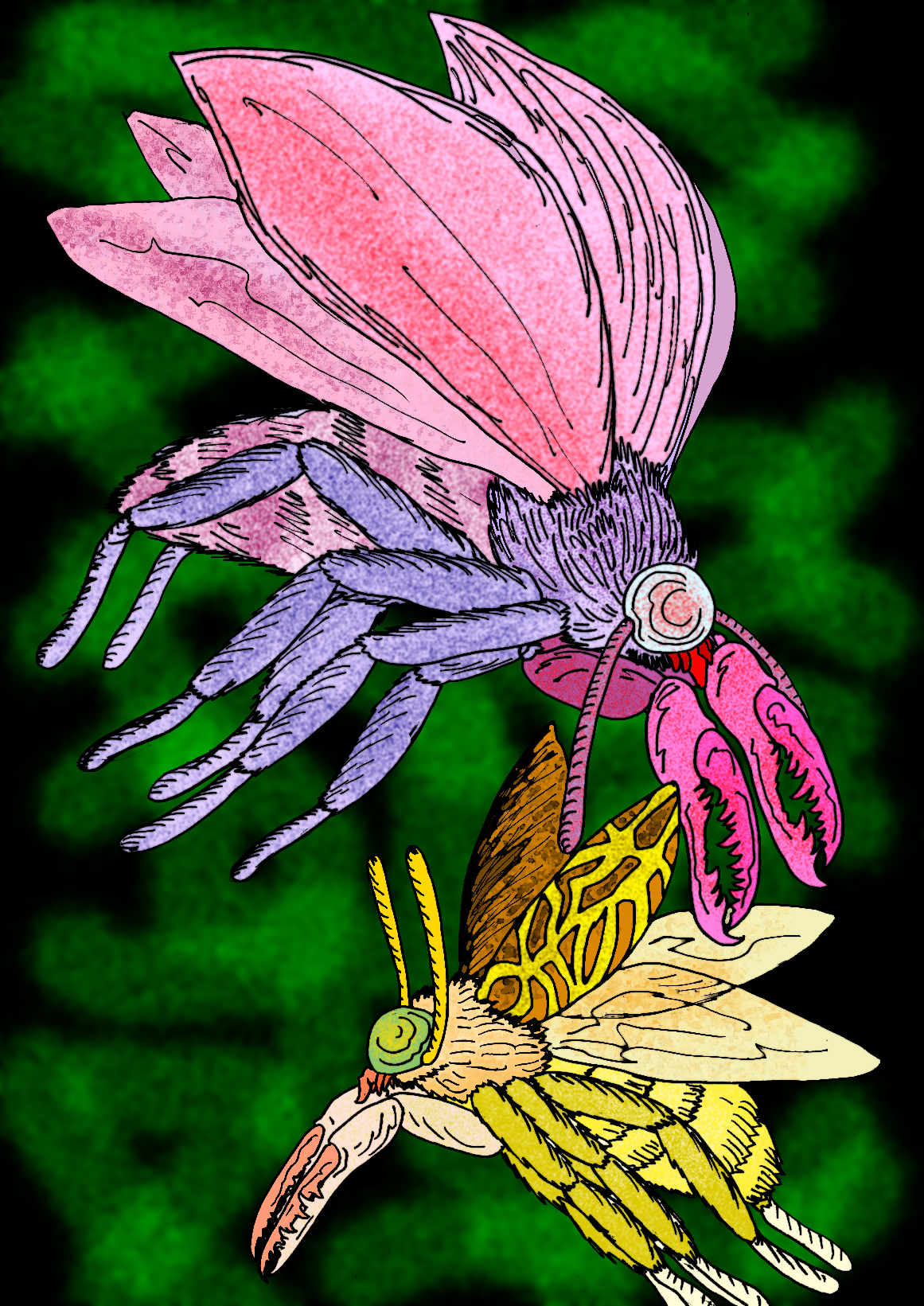 Omniops species by avancna on DeviantArt