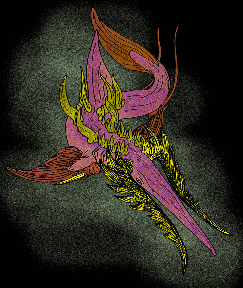 Thrinaxochimaera typhlops by avancna on DeviantArt