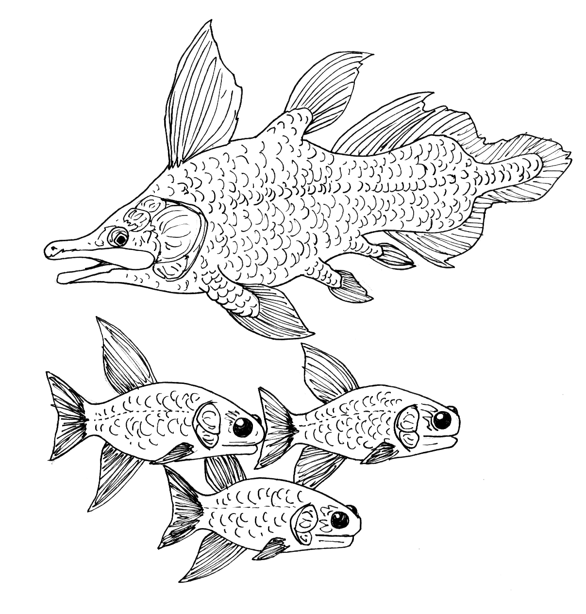 Axelrodichthys araripensis BW by avancna on DeviantArt