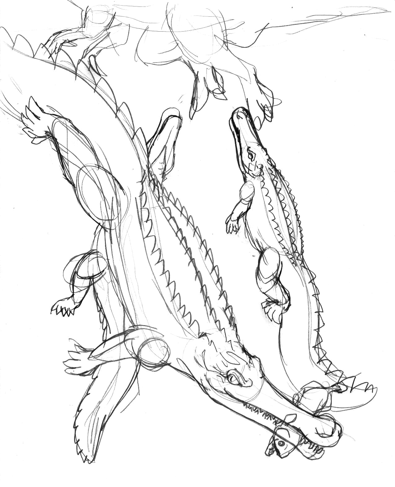Sketch Sarcosuchus imperator by avancna on DeviantArt