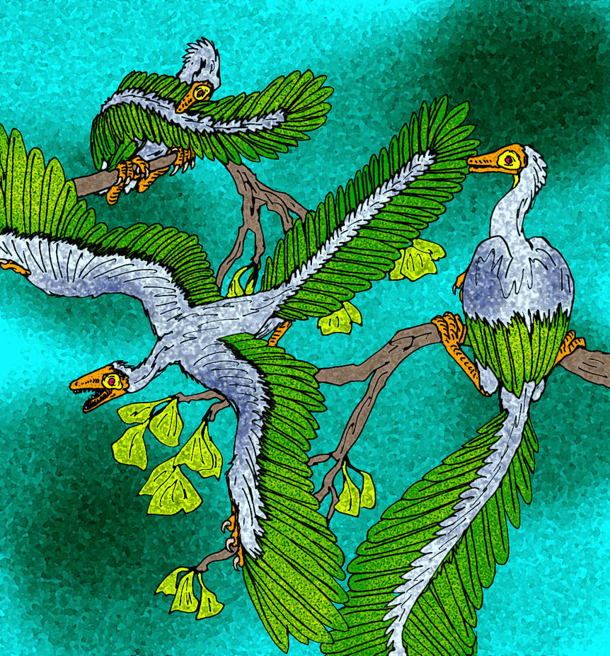 Archaeopteryx lithographica by avancna on DeviantArt