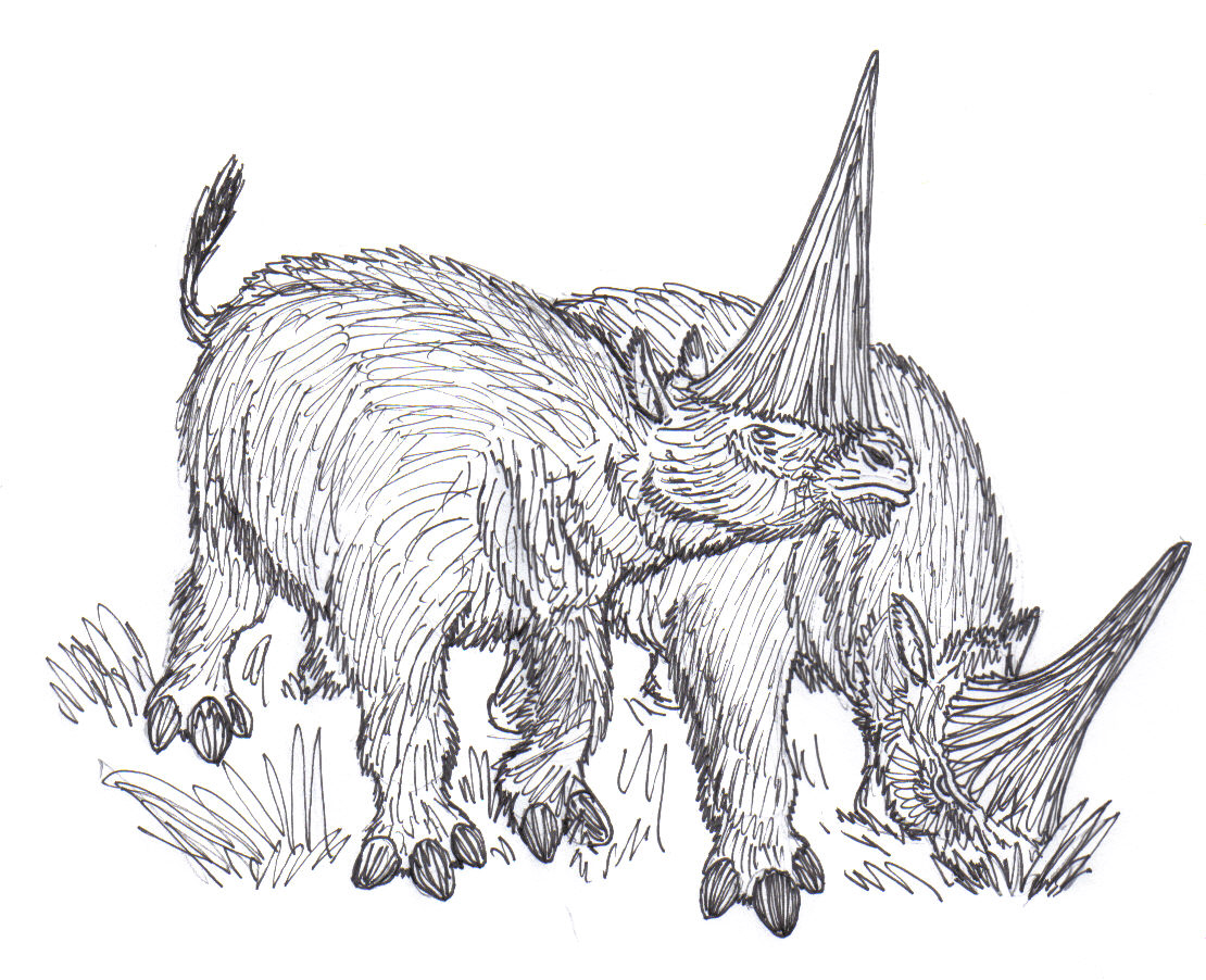 Elasmotherium sibiricum BW by avancna on DeviantArt