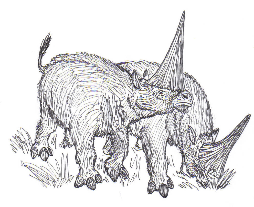 Elasmotherium sibiricum BW by avancna on DeviantArt