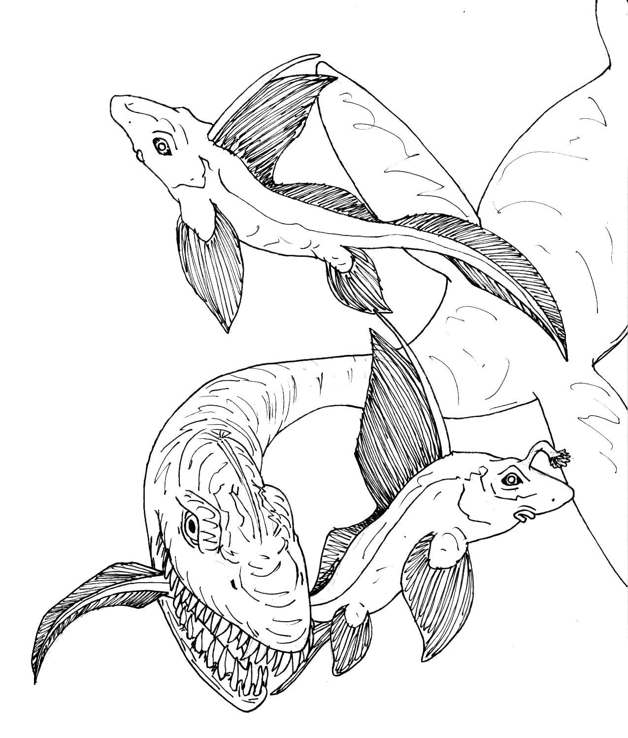 Muraenosaurus leedsi BW by avancna on DeviantArt