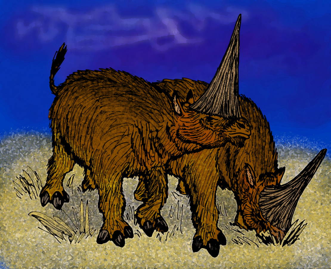 Elasmotherium sibiricum V1 by avancna on DeviantArt