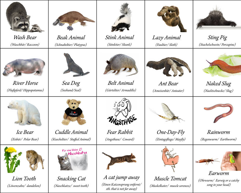 Animals Directly Translated From German By Arminius1871 On DeviantArt animals-directly-translated-from-german-by-arminius1871-on-deviantart