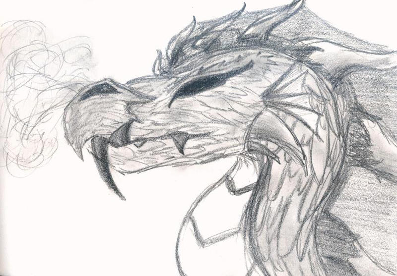 Strange dragon sketch by elite-dragons on DeviantArt