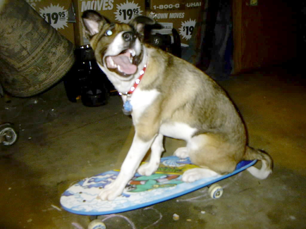 Skater Hater. by obstacle-one on DeviantArt