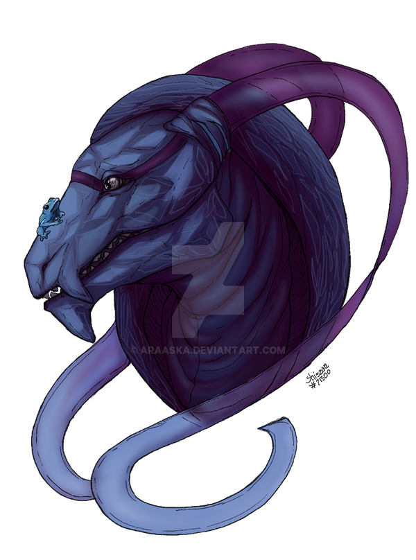 Nbm What In The By Araaska On Deviantart
