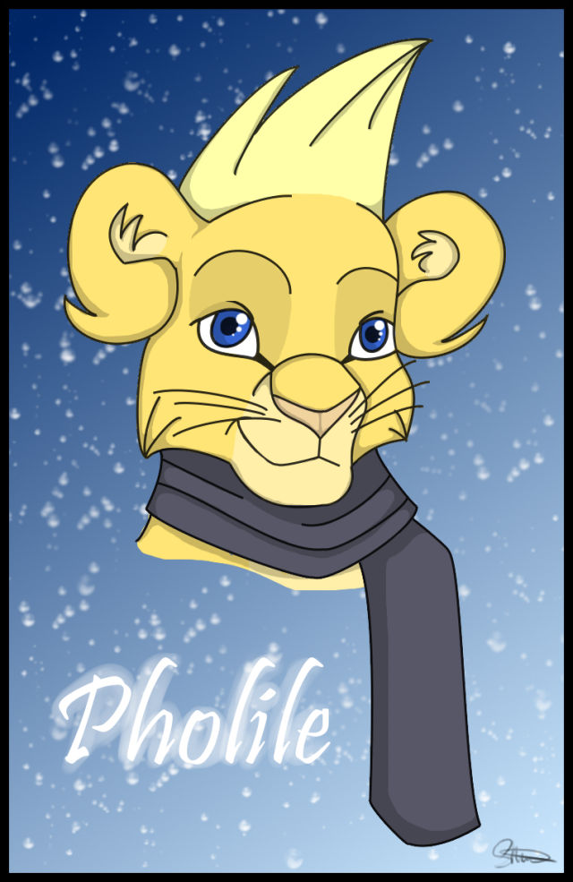 Pholile's winter style by ShungiLion on DeviantArt