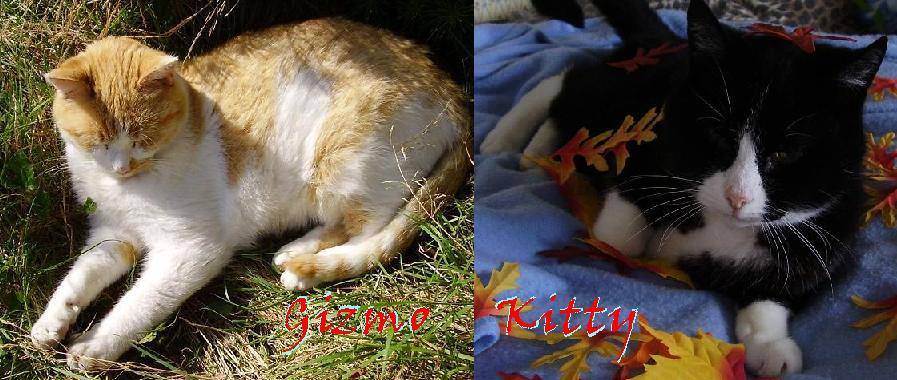 My two cats by KatieCarlinHudson on DeviantArt