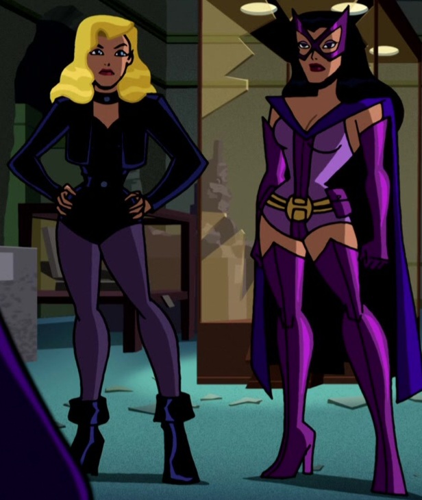 Sexy And Gorgeous Black Canary And Huntress By Billylunn05 On Deviantart