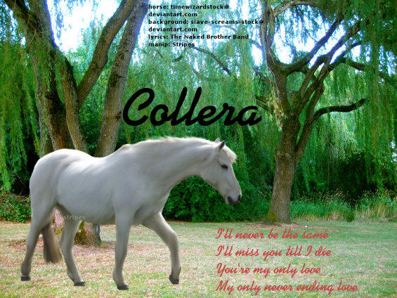 Collera by Stripes123 on DeviantArt