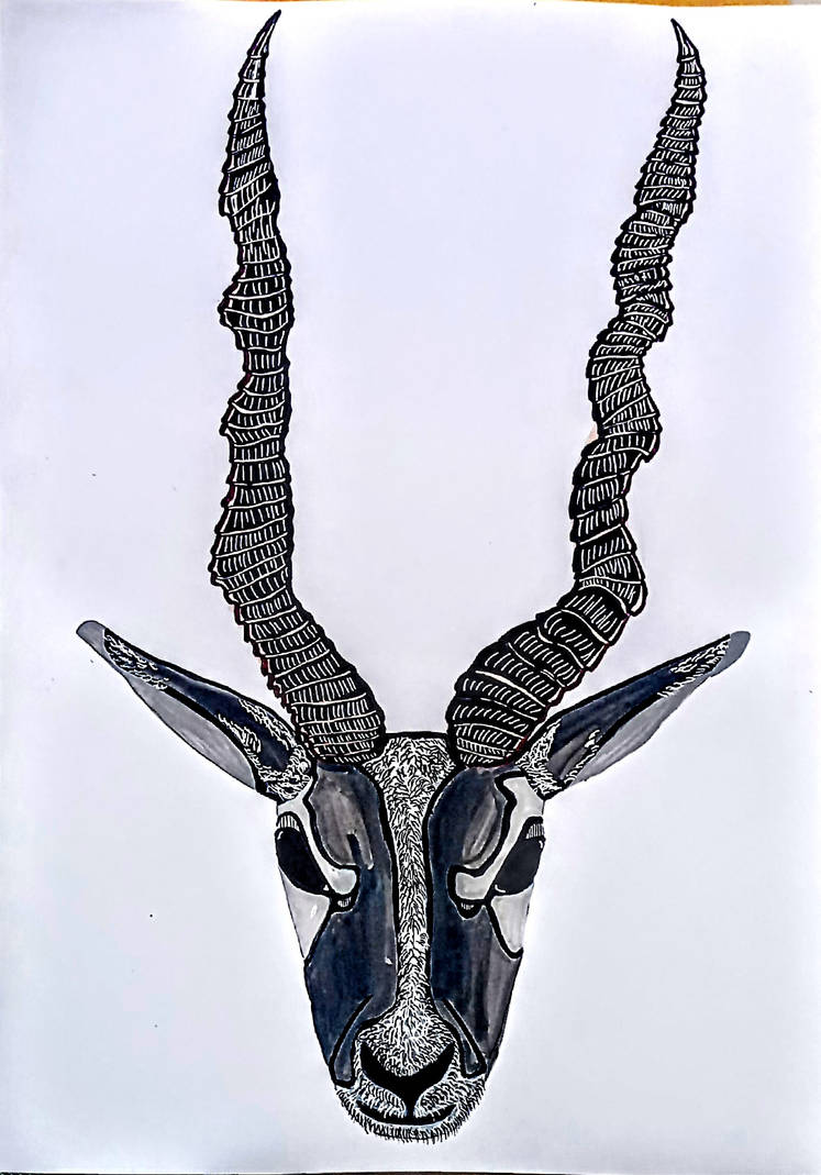 BLACKBUCK:- THE GOD OF BISHNOI by SAHILKUMARLIHAS on DeviantArt BLACKBUCK:- THE GOD OF BISHNOI by SAHILKUMARLIHAS on DeviantArt