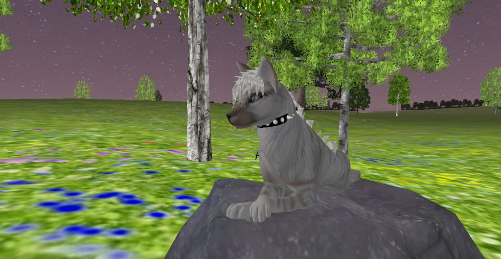Tundra (OC) by Kenji-Wolfie on DeviantArt Tundra (OC) by Kenji-Wolfie on DeviantArt