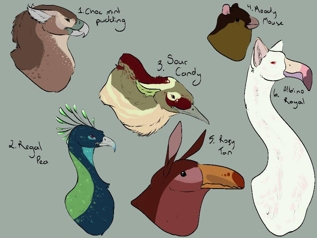 Griffin Adopts! ((Open3/6)) by Duckana on DeviantArt Griffin Adopts! ((Open3/6)) by Duckana on DeviantArt