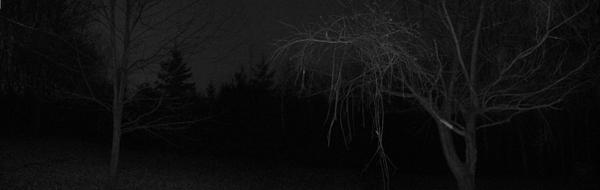 Creepy Backyard by ognonamis on DeviantArt