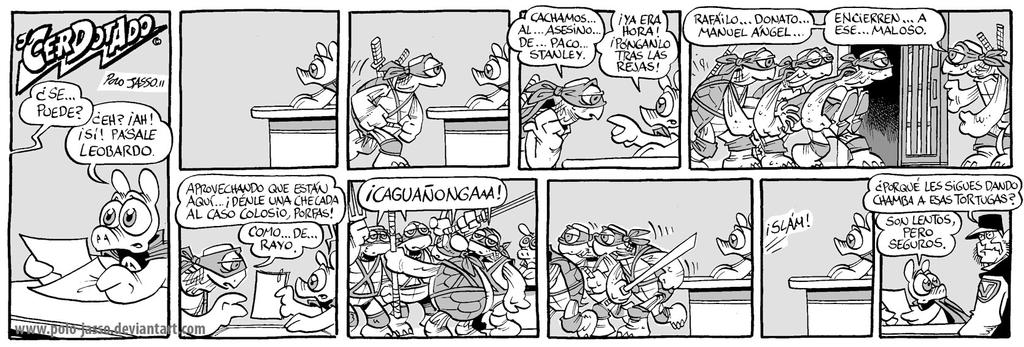 Tortugas By Polo Jasso On Deviantart