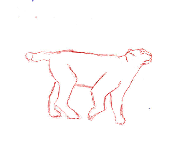 Lynx by Shadera on DeviantArt Lynx by Shadera on DeviantArt